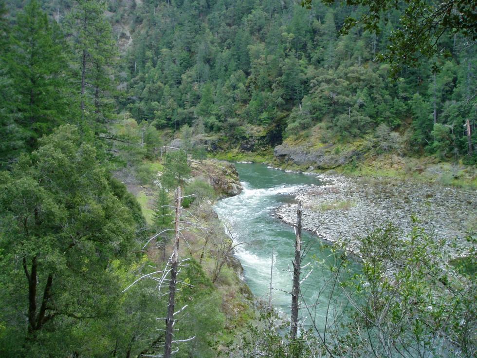 Rogue River – State Wildlife Action Plan