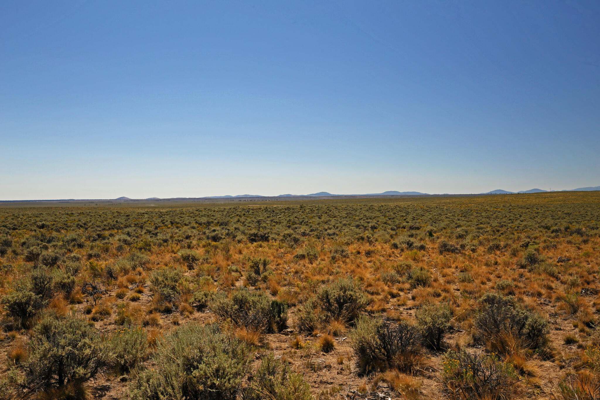Brothers-North Wagontire – State Wildlife Action Plan